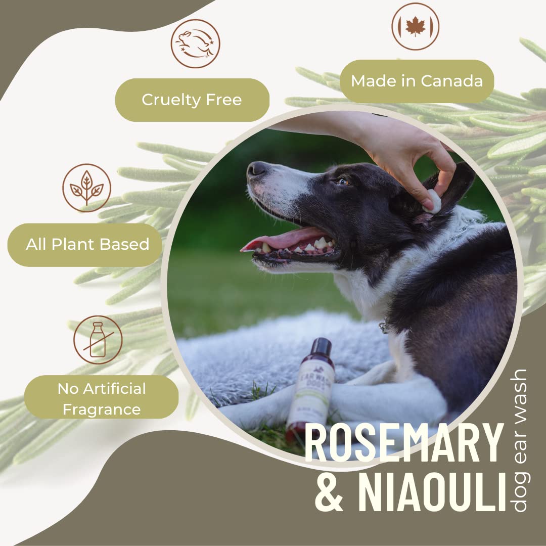 Natural Dog Ear Cleaner Solution - Dog Itchy Ears Treatment - Eliminates Odor & Waxy Buildup - Gentle Dog Ear Wash Formula - Made in Canda by Black Sheep Organics (4 fl oz)
