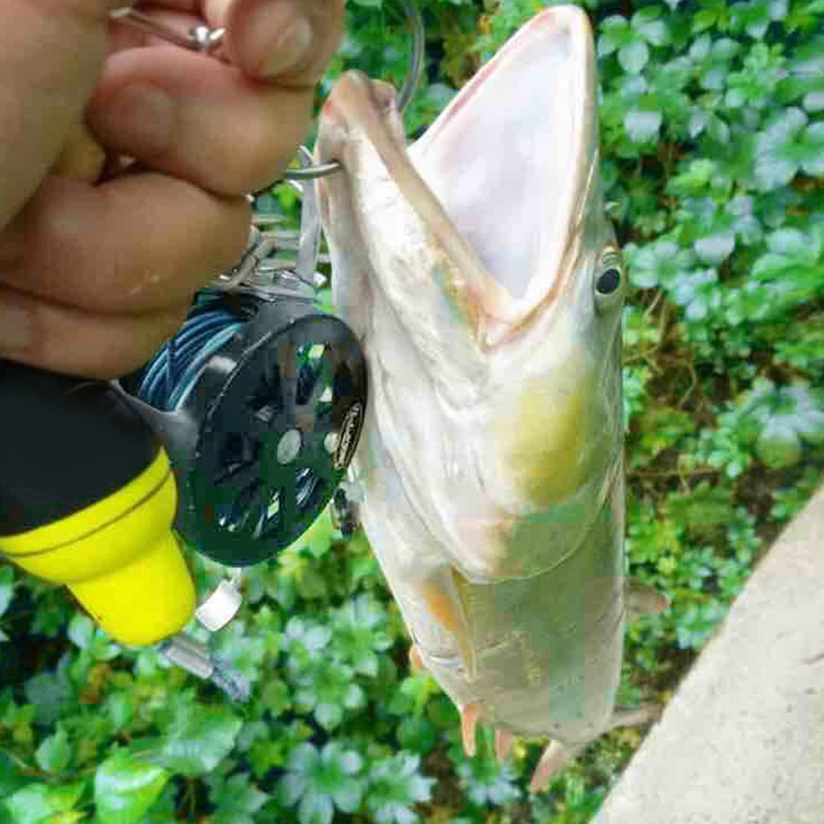 Fishing Scale Digits, Fish Scales Digital Portable LCD Electronic Hanging with Hook Tool Luggage Balance Weight Weiheng WH-A01L Plastic Electric Digital