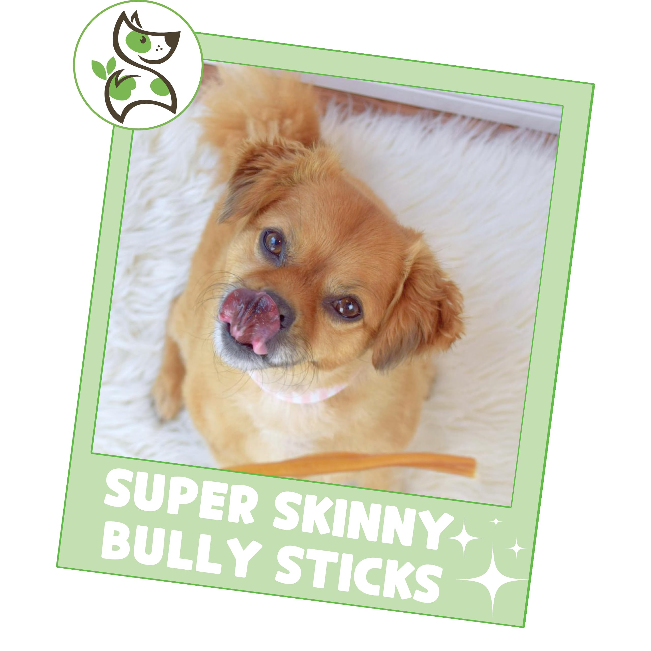 Nature Gnaws Super Skinny Bully Sticks for Small Dogs 5-6" (15 Count) - Long Lasting for Light Chewers and Puppies - Extra Thin Natural Beef Dog Chew Treats