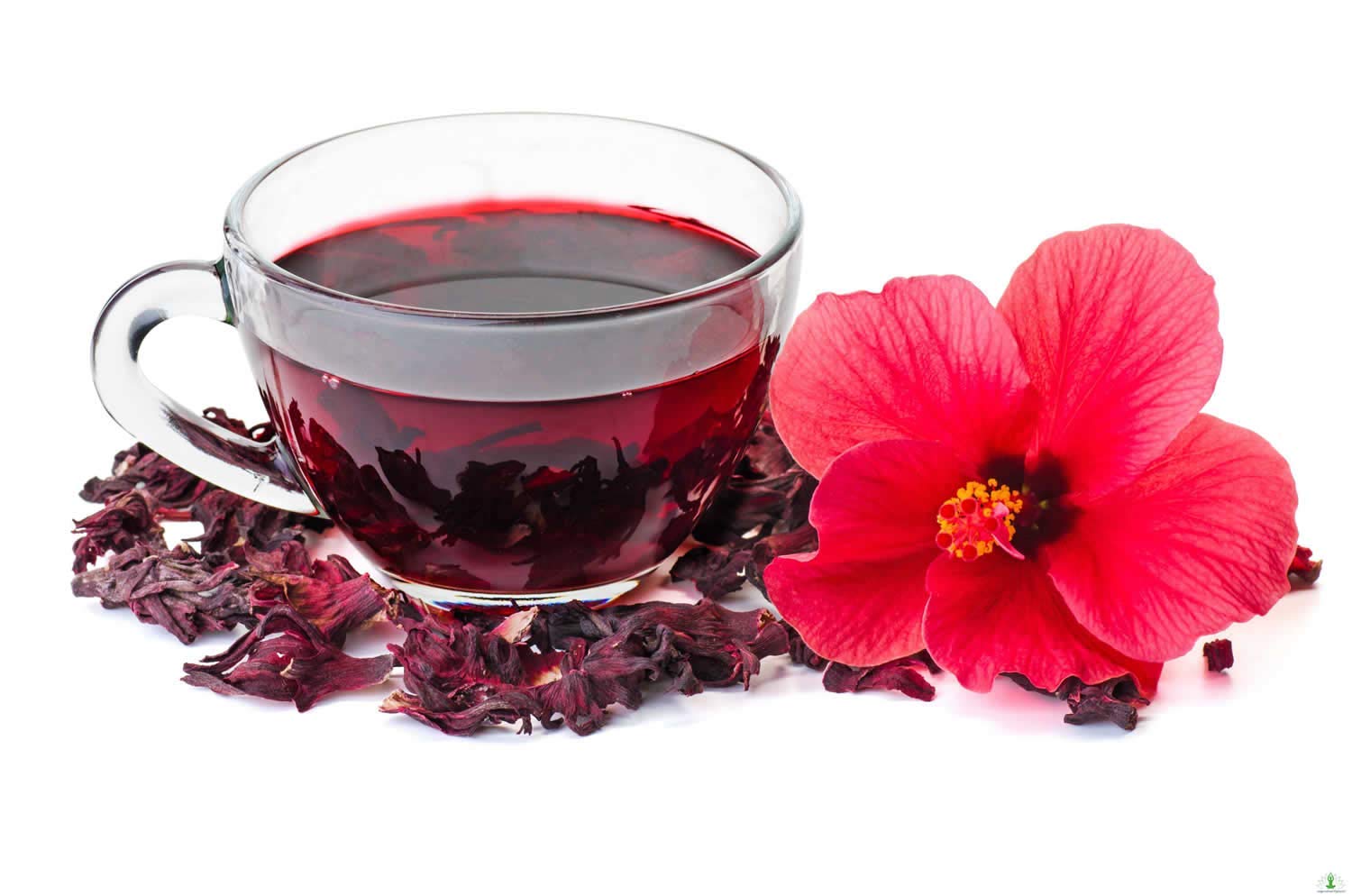 Hibiscus Whole Flowers - 100% Natural - 8oz - Herbal Tea - Flor de Jamaica - EarthWise Aromatics