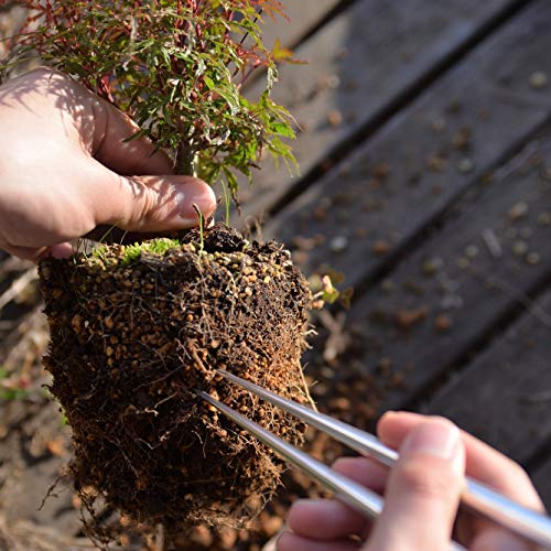 KAKURI Bonsai Root Hook, 7.8" Professional Gentle Bonsai Root Pick Tool, Lightweight Japanese Aluminum, Silver, Made in JAPAN