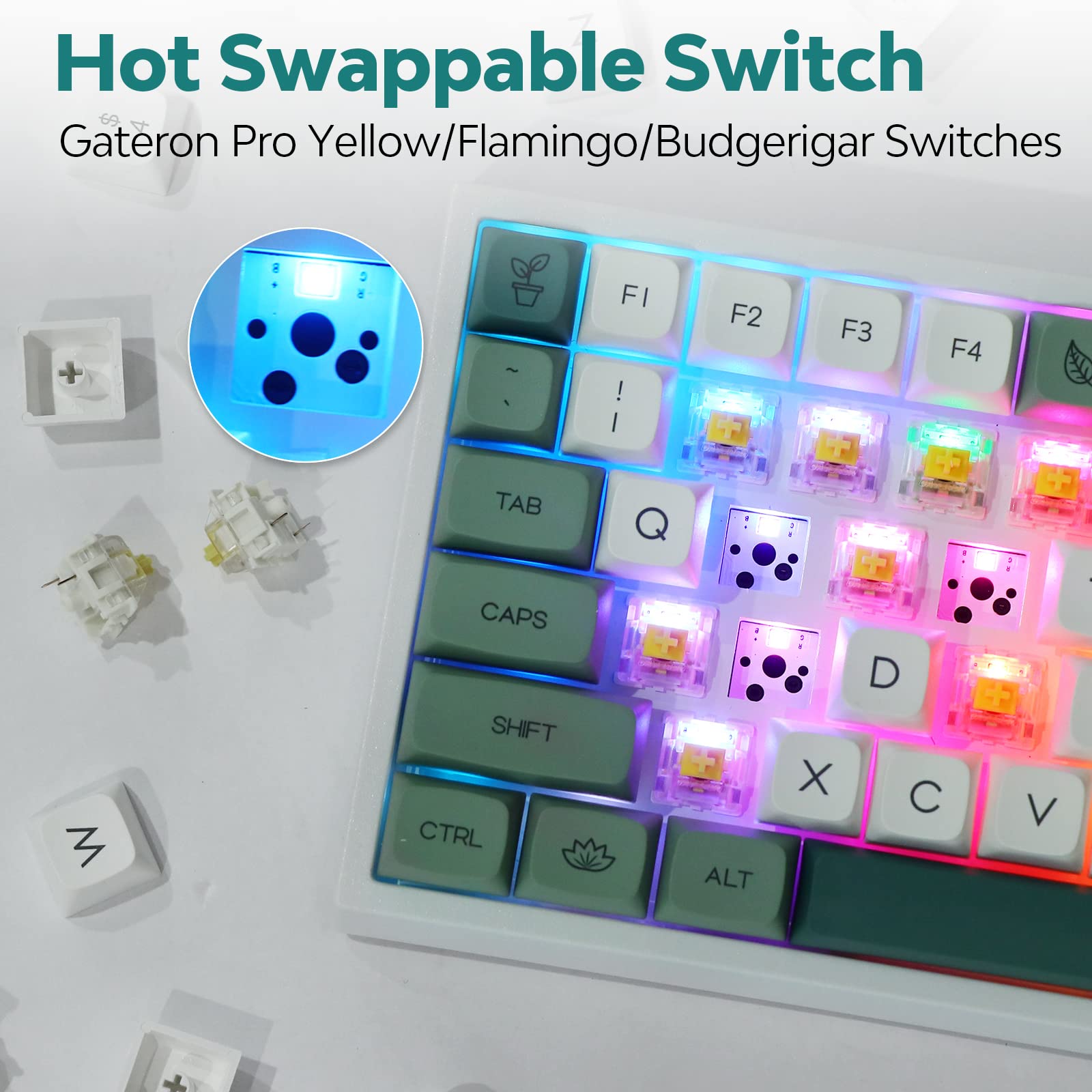 EPOMAKER Gaming Keyboard Numpad Combo, EP84 Pro 75% RGB Hot Swappable 2.4GHz/Bluetooth 5.0/USB-C Wired Keyboard with TH21 Wired Numpad for Mac/Win/Gamers(Gateron Pro Yellow)