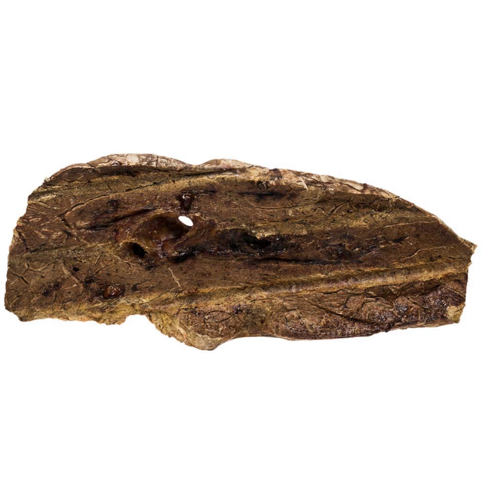 Redbarn Beef Lung Choppers Dog Chew | All-Natural high-Protein Low-Fat Grain-Free, Highly Palatable Treats sourced from Grass-Fed Cattle (1-Count)