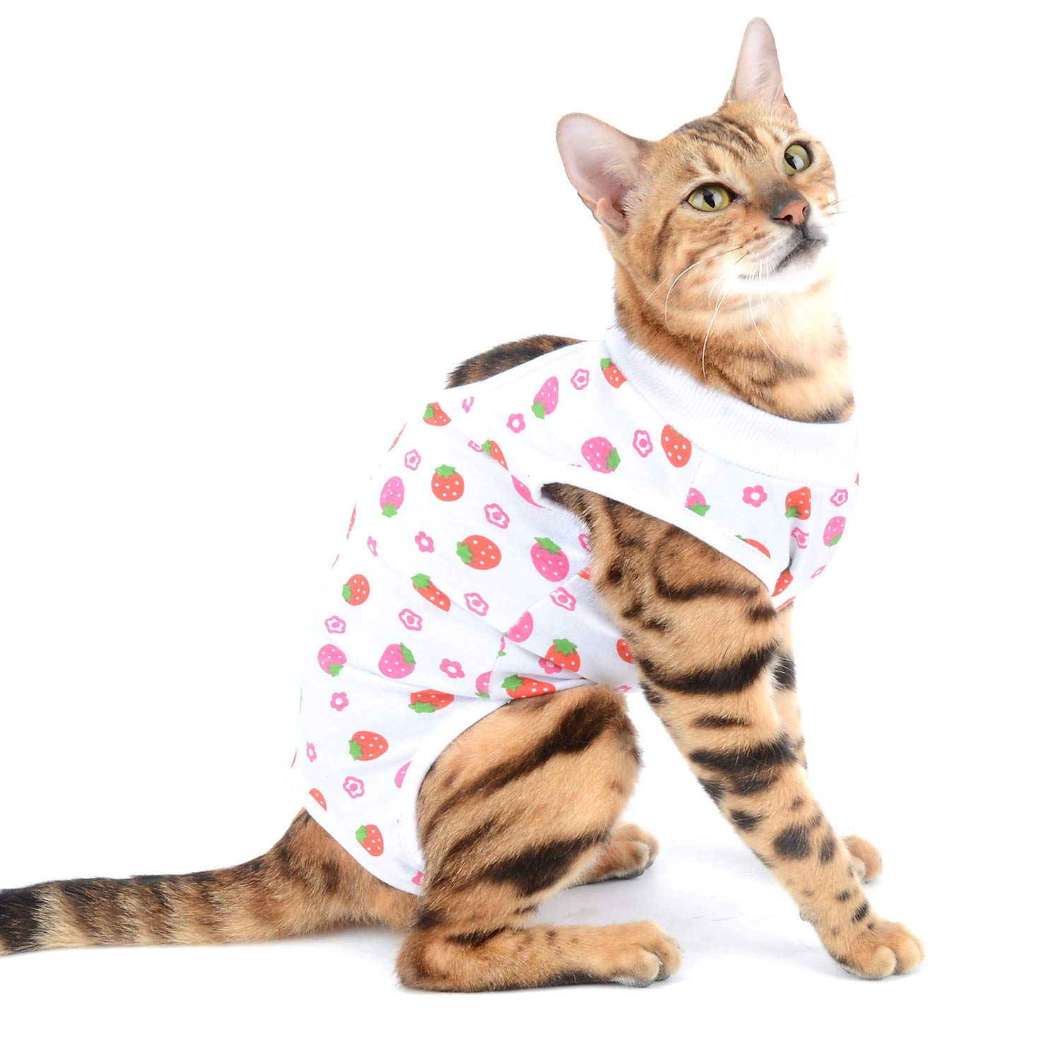 SELMAI Surgical Suit for Cats Surgical Recovery Suit for Dogs Small After Surgery Wear Abdominal Wound Protector Post Operative Dog Shirt Romper Cone E-Collar Alternative Prevent Licking Red L