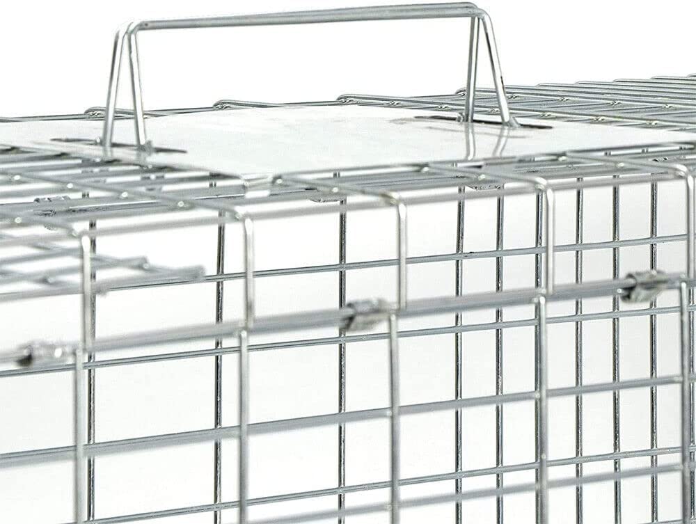 Jahy2Tech Live Animal Trap Cage 24"X8"X 7.5" Cat Trap Cage Foldable Steel Humane Catch and Release for Rabbit, Groundhog, Squirrel, Raccoon, Mole, Gopher, Cat
