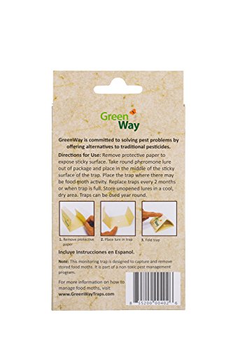Greenway Food Moth Traps (6 Traps) - Pantry Moth Trap - Alternative to Naphthalene Balls and Moth Balls - Pheromone Attractant