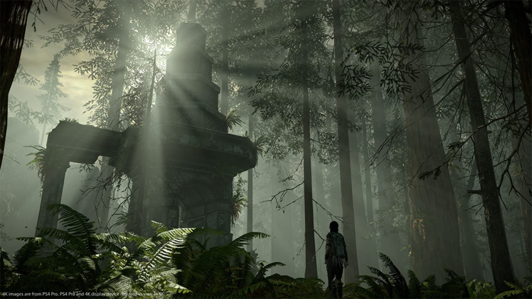 Shadow of the Colossus - PlayStation 4 (AU Import)