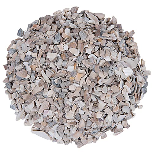 Small Pet Select Flaked Oyster and Seashell Mix - Calcium Supplement for Chickens & Ducks (10lb)