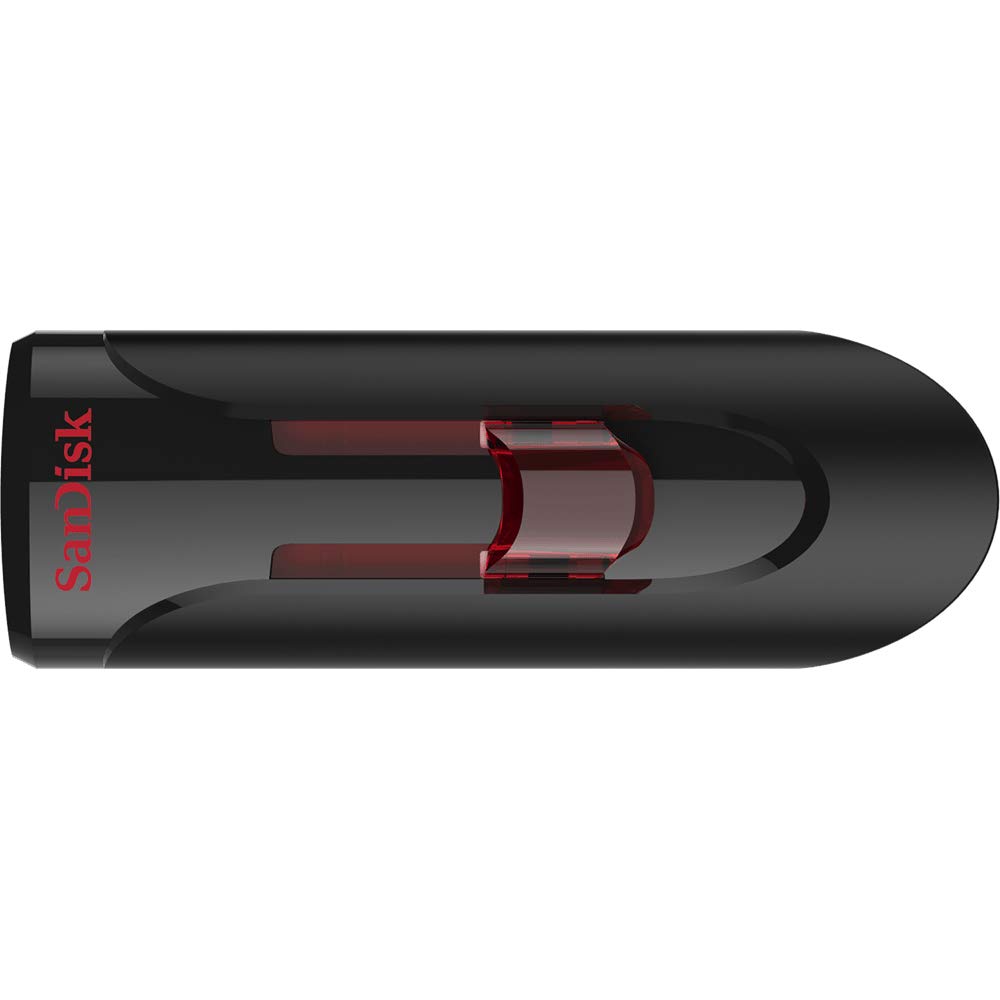 SanDisk 16GB (10 Pack) Cruzer Glide USB 3.0 Flash Drive SDCZ600-016G Bundle with (1) GoRAM Black Lanyard (16GB, 10 Pack)