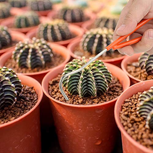 GOTOTOP Bonsai Hook Sturdy Manganese Metal Gardening Hook Handle Bonsai Root Hook with Comfortable Handle for Loosing Soil