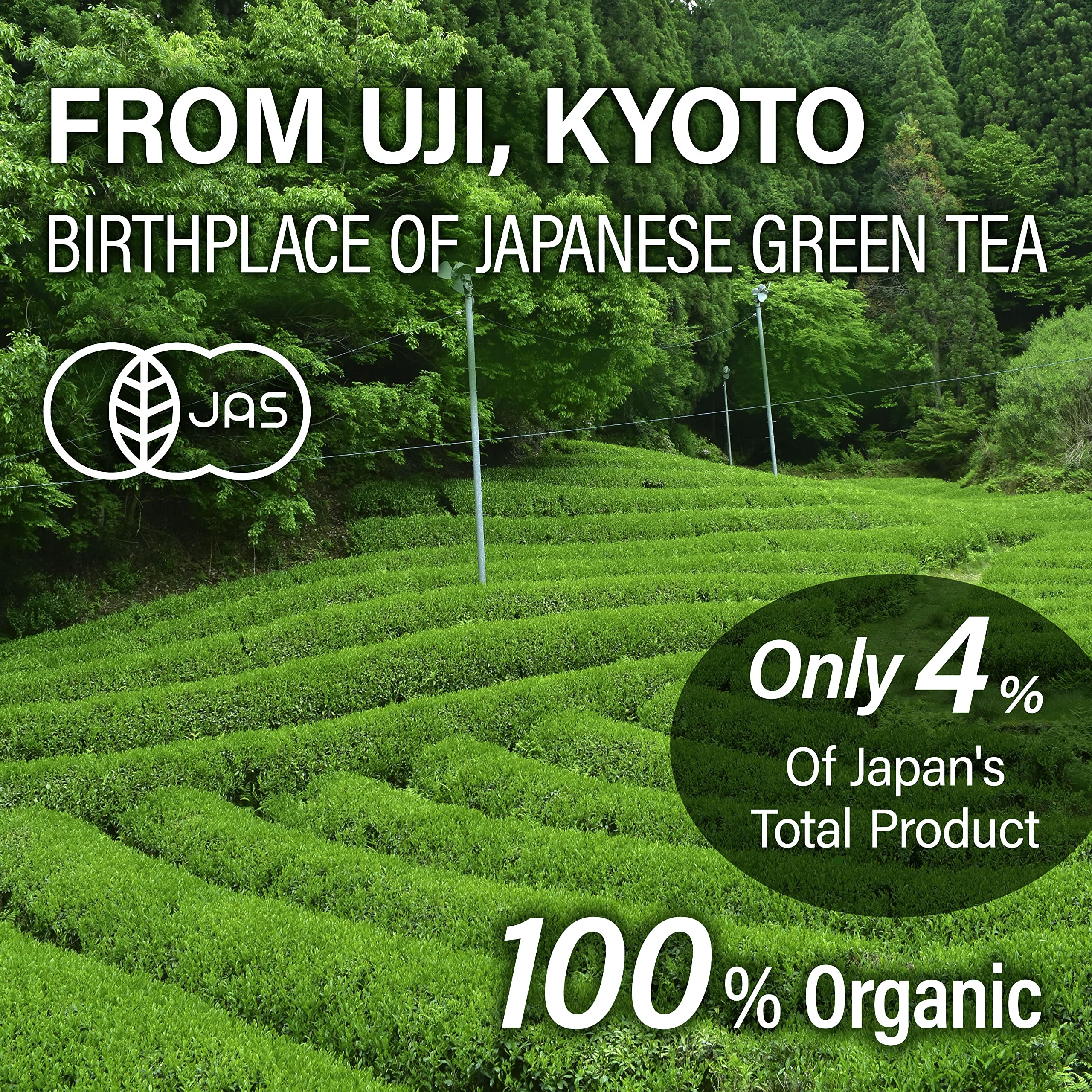 Green Tea leaves Sencha, JAS Certified Organic, Japanese Tea, Uji-Kyoto, 80g Bag 【YAMASAN】