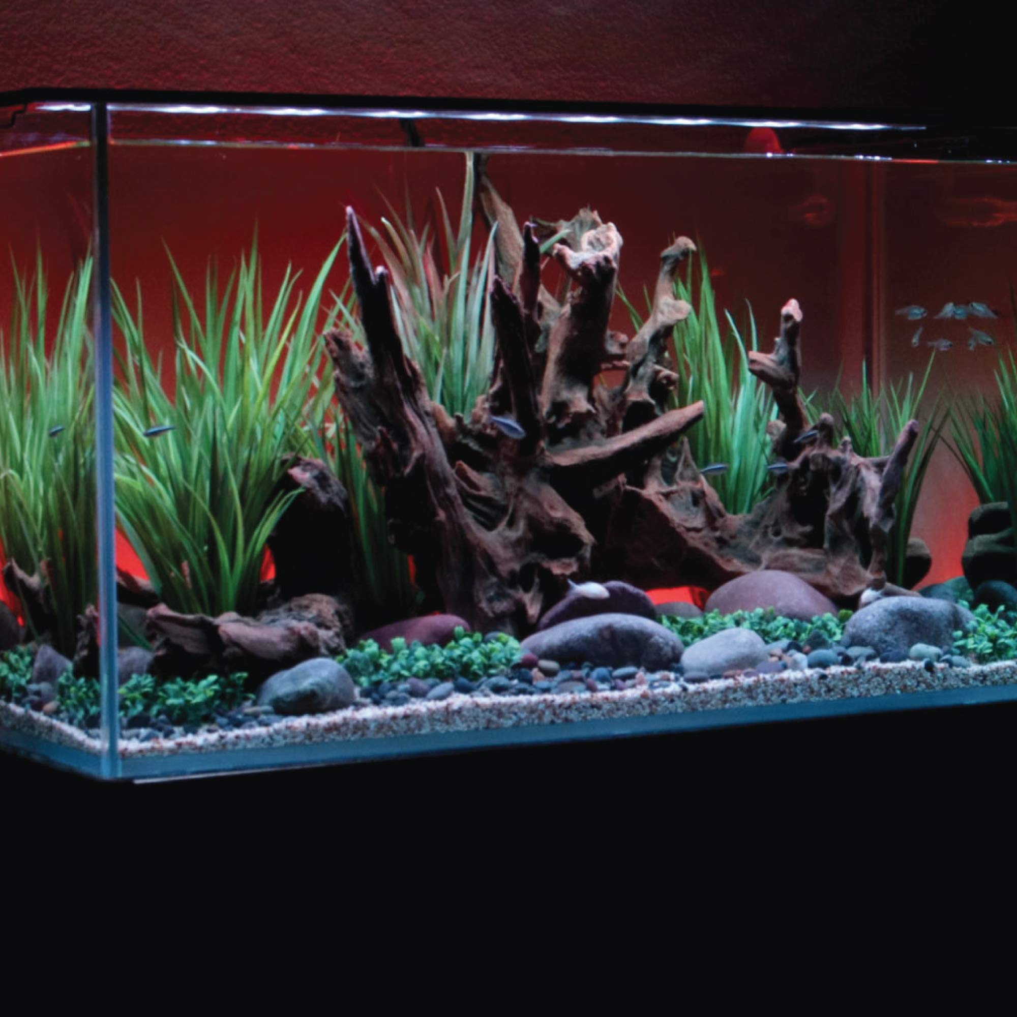 CURRENT USA Serene Add-on Accessory LED Background Light Kit | Includes Frosted Background Glass Film and RGB LED Light Strip | Fits Aquariums 48"-60" (Requires Serene Controller)
