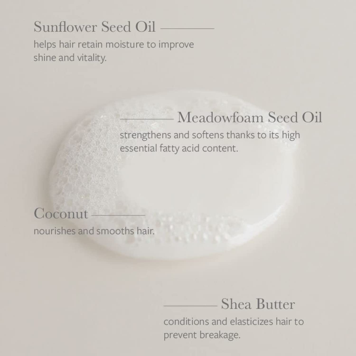 Seed Phytonutrients - Natural Moisture Shampoo | Sustainable, Vegan Clean Beauty (8.5 fl oz | 250 ml)