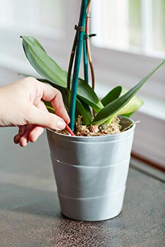 Miracle-Gro Orchid Plant Food Spikes (3)