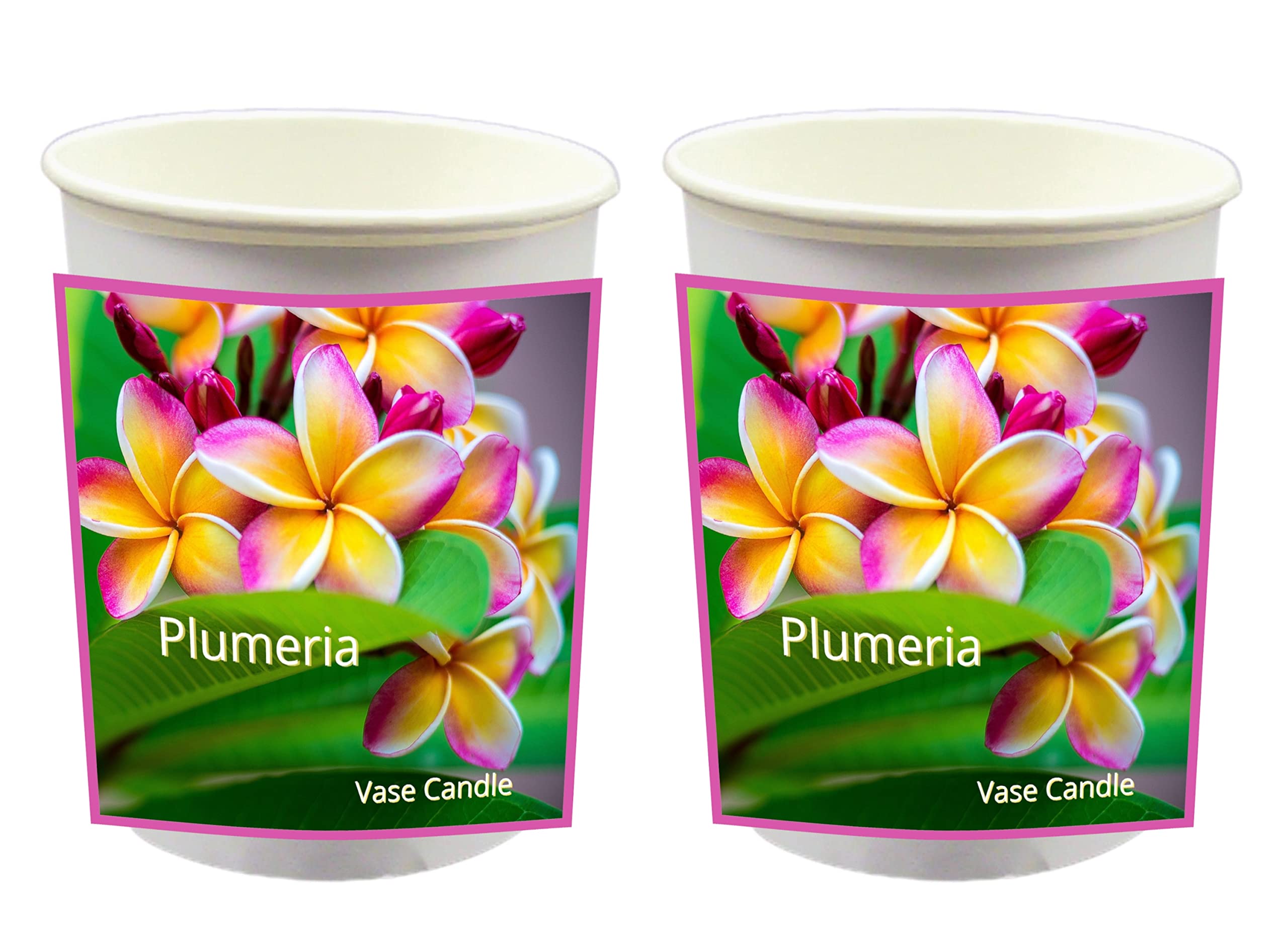Plumeria Vase Candle - Smells like Plumeria Flowers. (Jar)