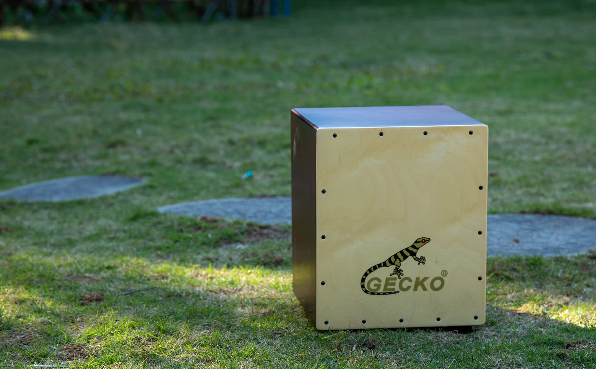 GECKO Cajon,Cajon Box Drum for Child Percussion Instrument Birch Wood with Internal Guitar Strings Compact Size Portable Cajon