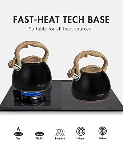 POLIVIAR Tea Kettle, Black Ti Stovetop Tea Kettle 2.7 Quart , Audible Whistling Teapot, Food Grade Stainless Steel for Anti-Rust and Anti Hot Handle, Suitable for All Heat Sources (JX2018-WB20)