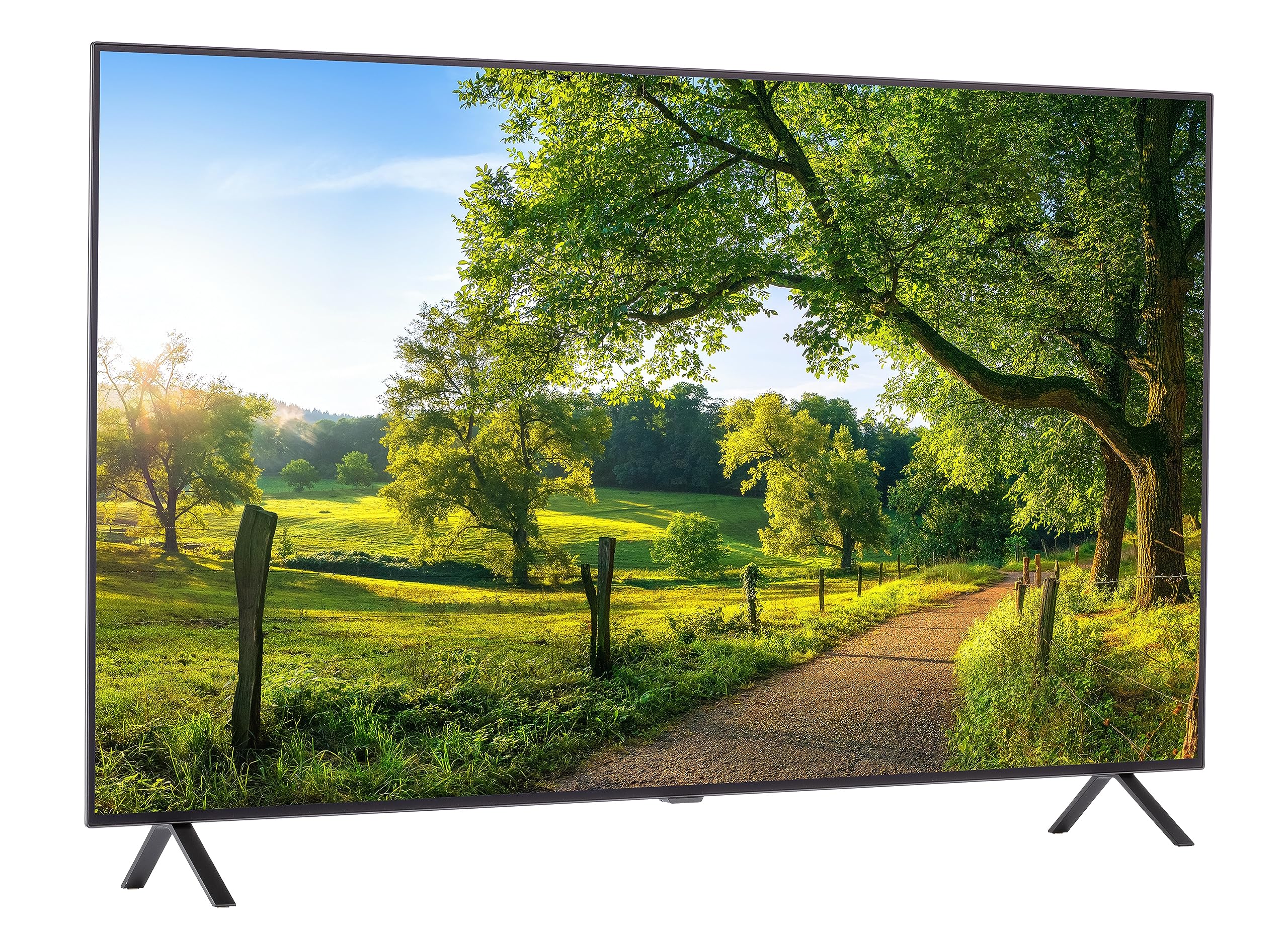 LG 65-Inch Class OLED A2 Series Alexa Built-in 4K Smart TV, 60Hz Refresh Rate, AI-Powered 4K, Dolby Vision IQ and Dolby Atmos, WiSA Ready, Cloud Gaming (OLED65A2PUA, 2022) (Renewed)