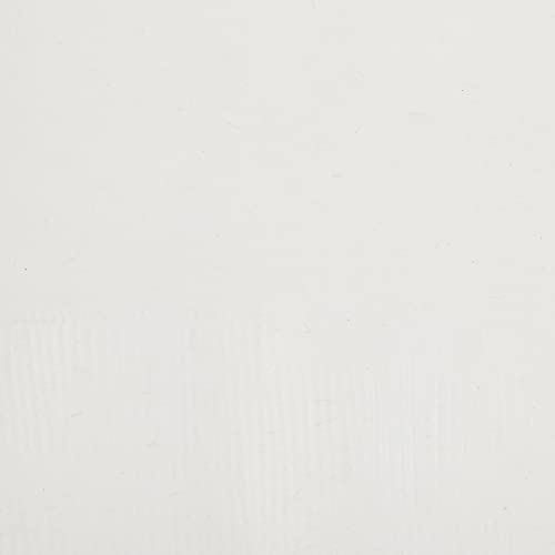 Creative Converting 600-Count Case Touch of Color =Paper Dinner Napkins, 1/8 Fold, White - 279000