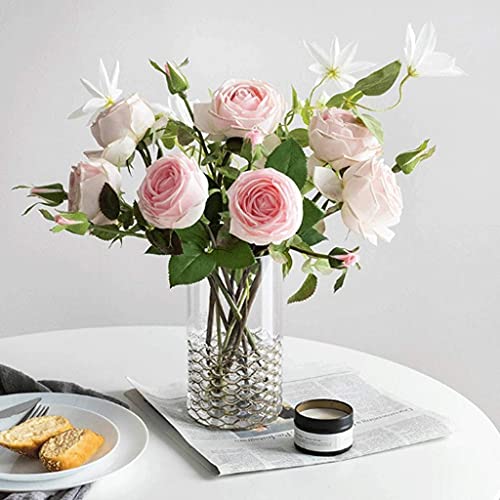 Creative Hydroponic Transparent Flower Metal Grid Design Home Decoration Customer Service Team Glass (Size : A) (B)
