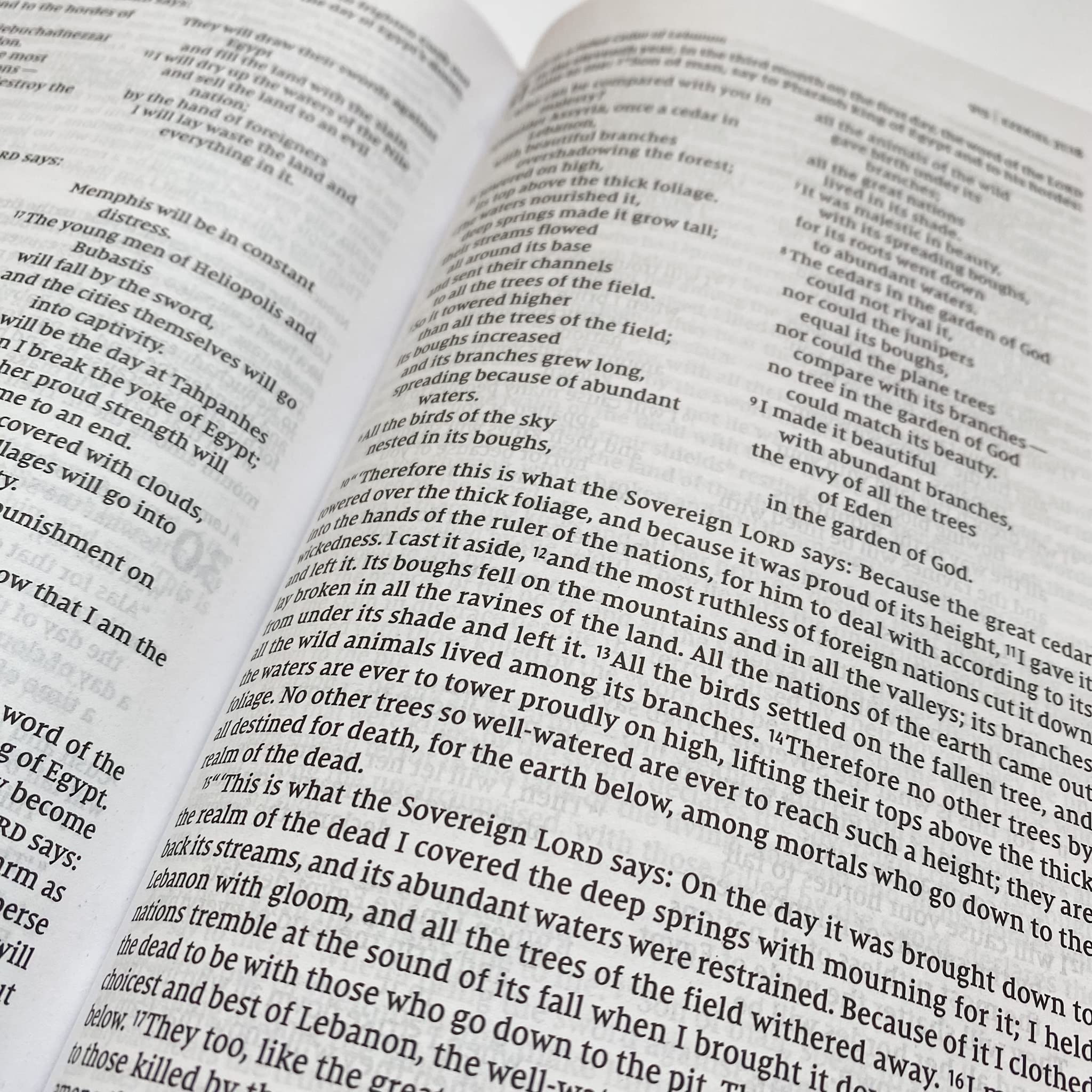 Hand Lettered and Laser Engraved NIV Passaggio Bible, Brown, Custom Name Engraving Available, Personalized Gift for Wedding, Baptism, Graduation or Birthday