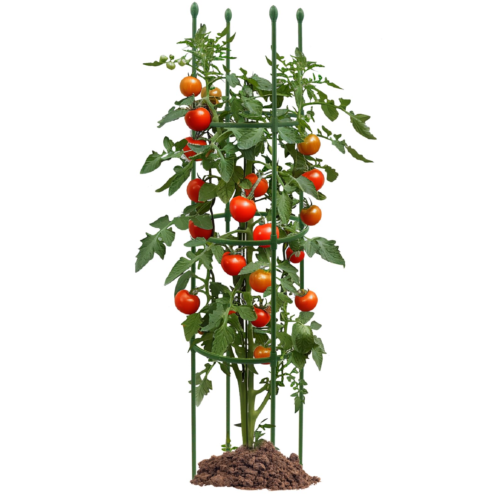 G-LEAF Adjustable Detachable Tomato Cage 3 Pack Tomatoes Plant Support Cages Trellis Garden Sticks/Stakes for Garden, Pot, Climbing Plants, Vegetables, Fruit, Flowers, 55 inch (Garden Ties Include)
