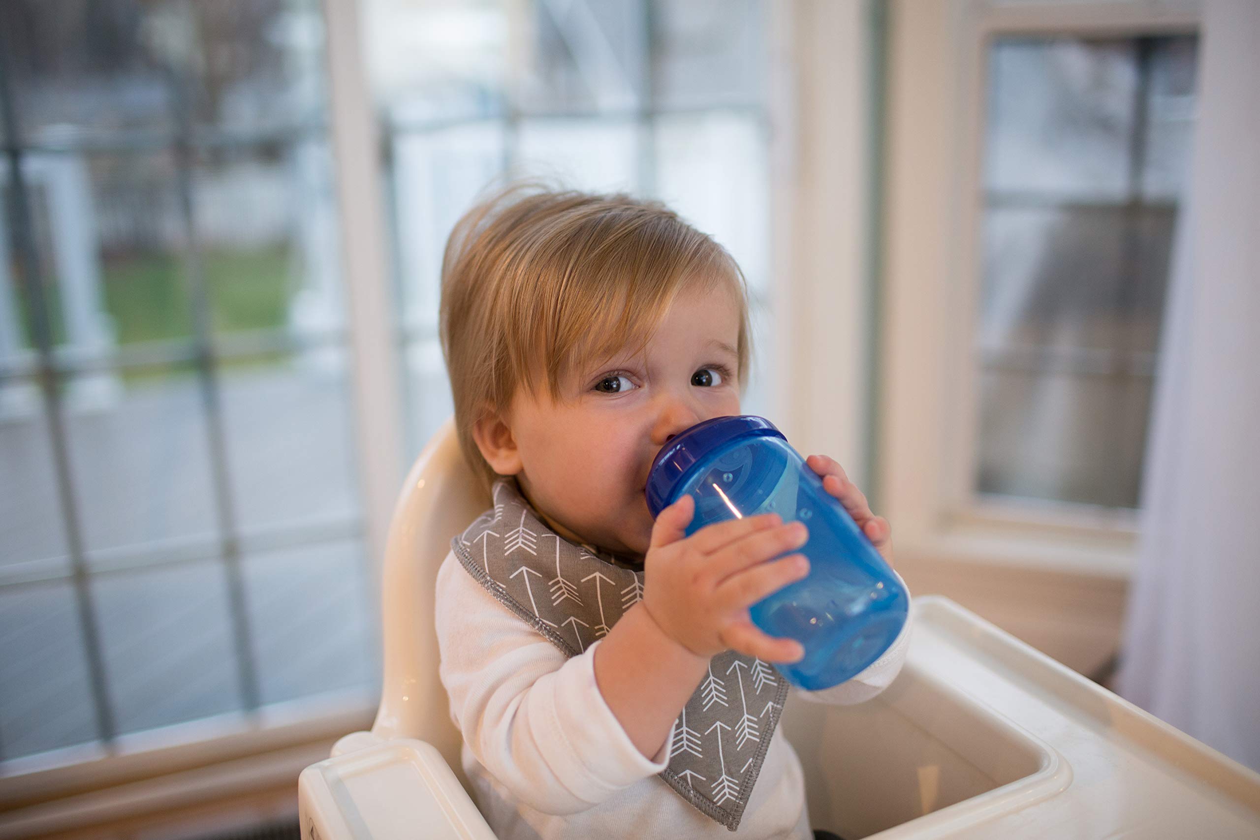 Dr. Brown’s Milestones Hard Spout Sippy Cup - Blue - 12oz - 2pk - 12m+