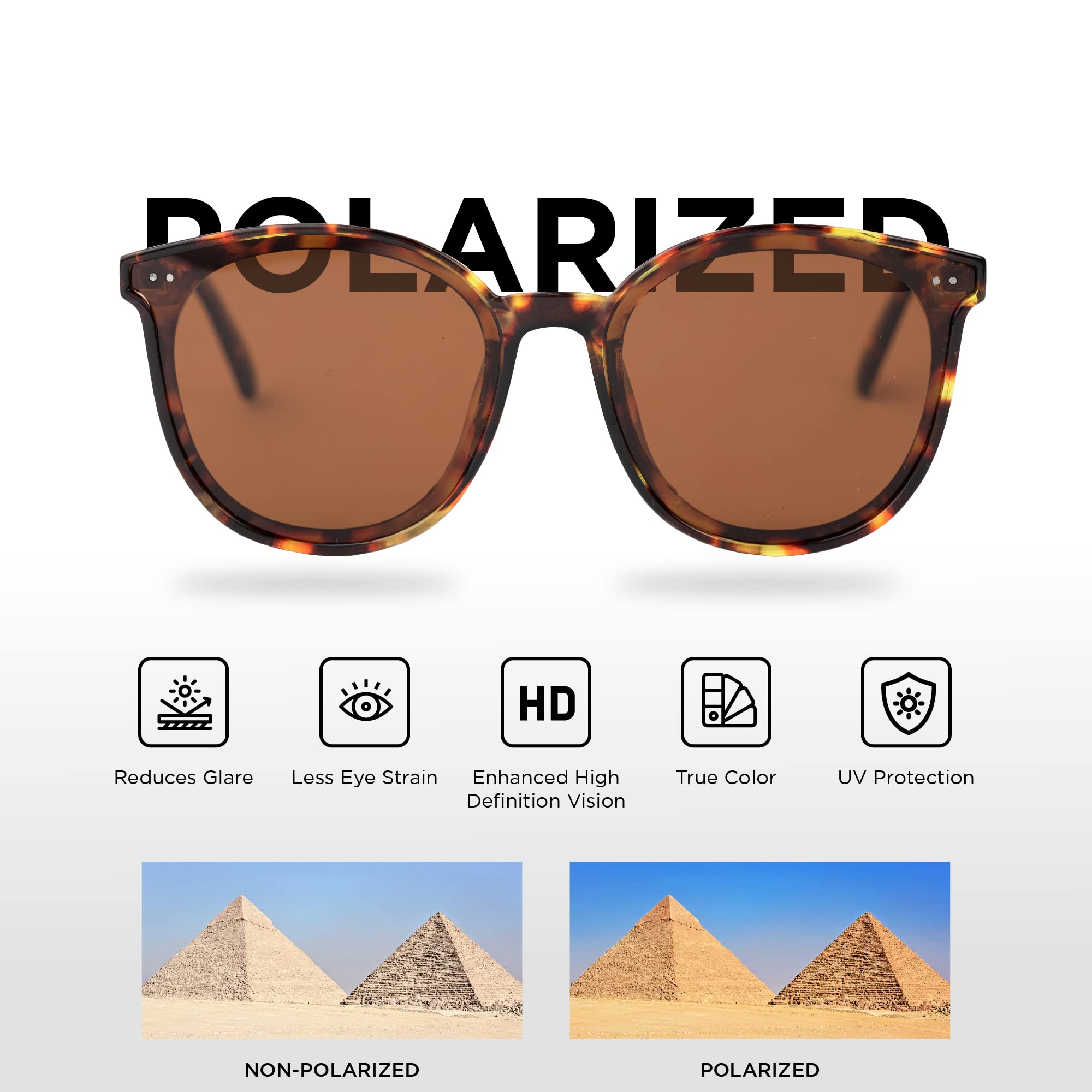 EVEE Classic Round Retro Sunglasses for Women and Men with Polarized Lens - (Billie) (Brown Tortoise)