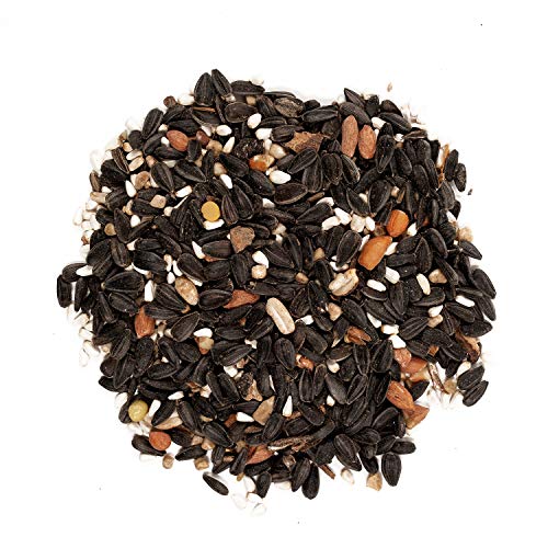 Wagner's 82042 Songbird Banquet Wild Bird Food, 5-Pound Bag