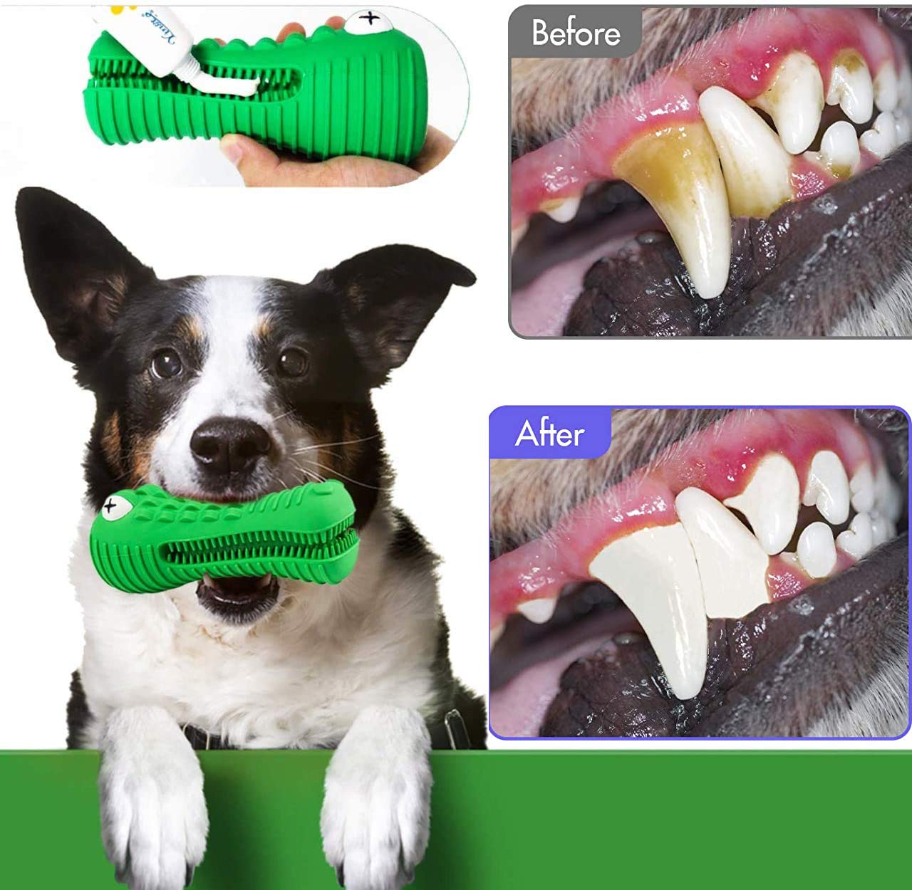 Dog Squeaky Chew Toy, Tough Natural Rubber Durable for Aggressive Chewers, Fun to Chew for Mediuem