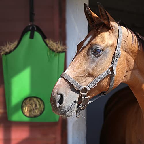 Premium Horse Slow Feed Hay Bag with Metal Snap Fastener and Heavy Adjustable Strap β