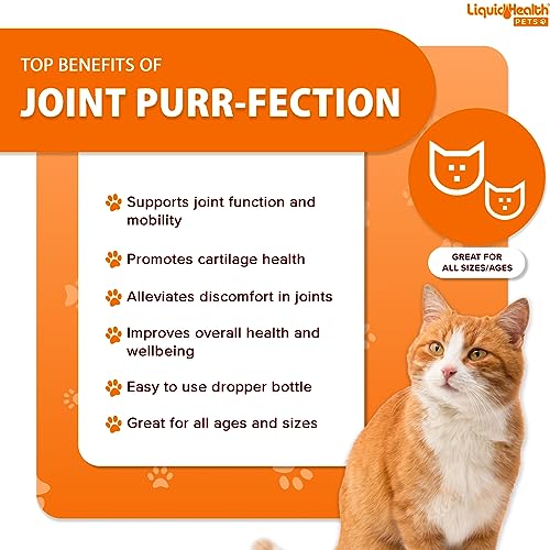 LIQUIDHEALTH 2.3 Oz Liquid Cat Glucosamine Joint Purr-Fection - Hip and Joint Health Relief Support, Chondroitin Feline Droppers -Senior Older Cats, Kittens - (2 Pack)
