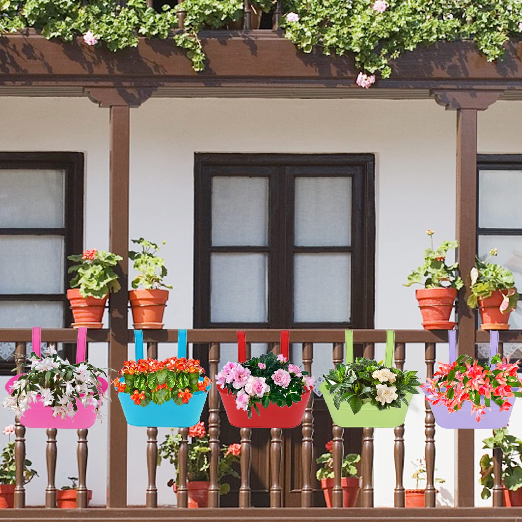 Glory Island 10 Pack 6 in Metal Iron Hanging Flower Pots, Balcony Planter with Detachable Hook, Durable Herb Pots Perfect for Fence (6 inches)