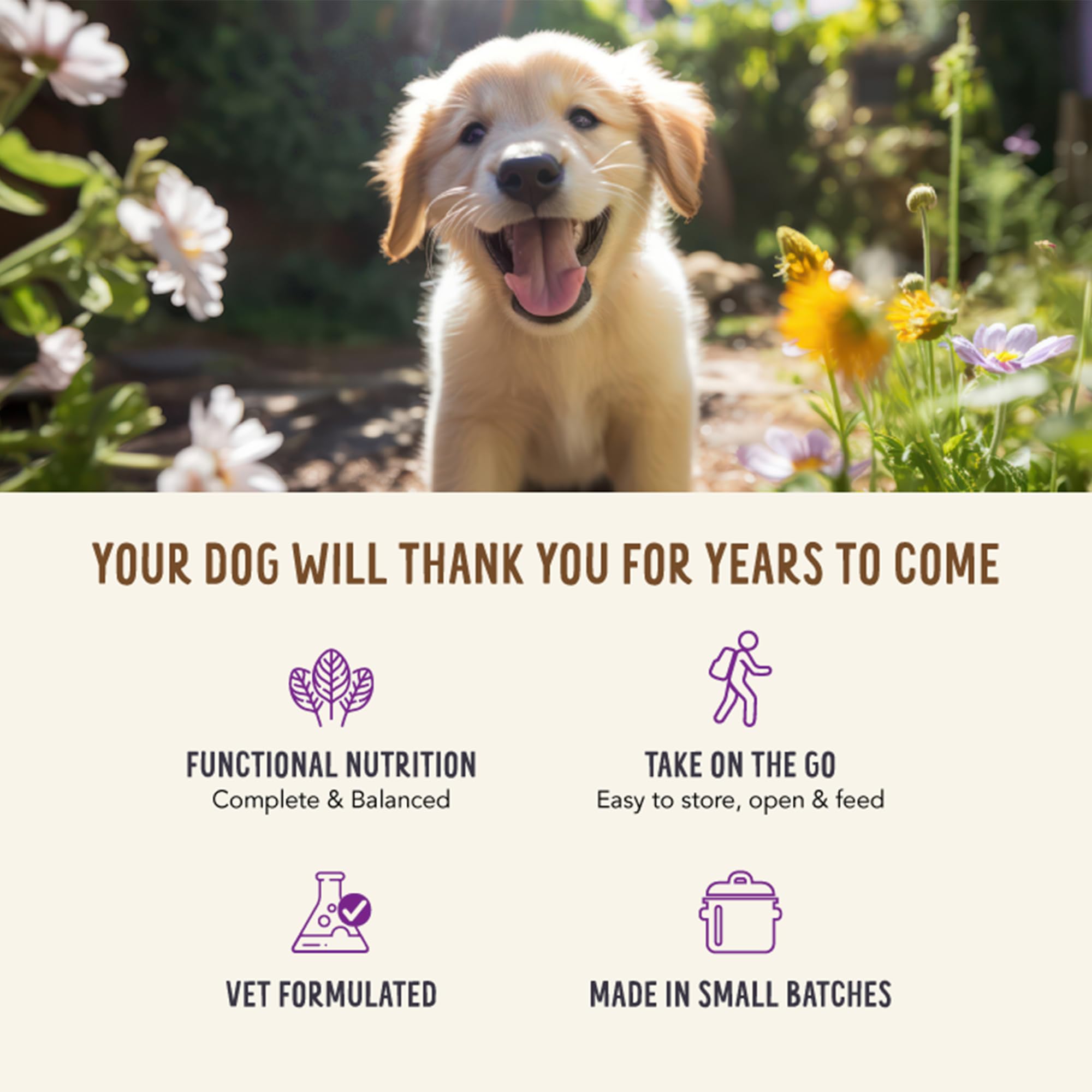 Health Extension Broth-Licious Variety Pack for Dogs, 3.5 oz Cups β Grain-Free, Ready-to-Serve, Supports Vitality, Digestion, Mobility & Shiny Coat (10-Cup Box)