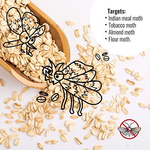 Kitchen Pantry Moth Traps - Prime Pantry Moth Traps with pheromones, Pet Safe Pantry Moth Trap, Food Moth Traps with pheromones 6 Pack