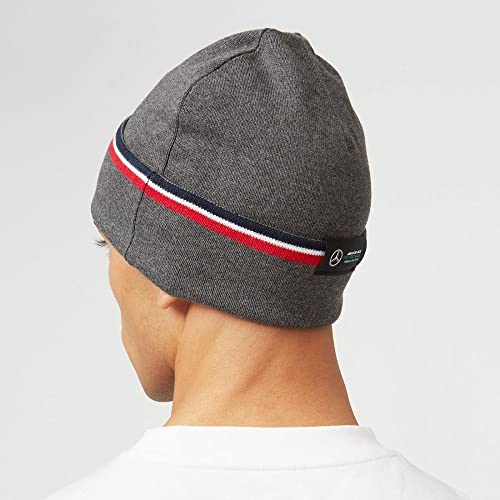Mercedes AMG Petronas Formula One Team - Official Formula 1 Merchandise - 2022 Team Beanie - Grey - One Size
