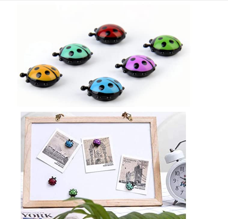 HLLMX 12 PCS Cute Ladybug Refrigerator Magnets Kitchen Magnets Office Magnets for Kitchen School Classroom, Locker Magnets for Kids Boys Girls, Home Decoration Photos