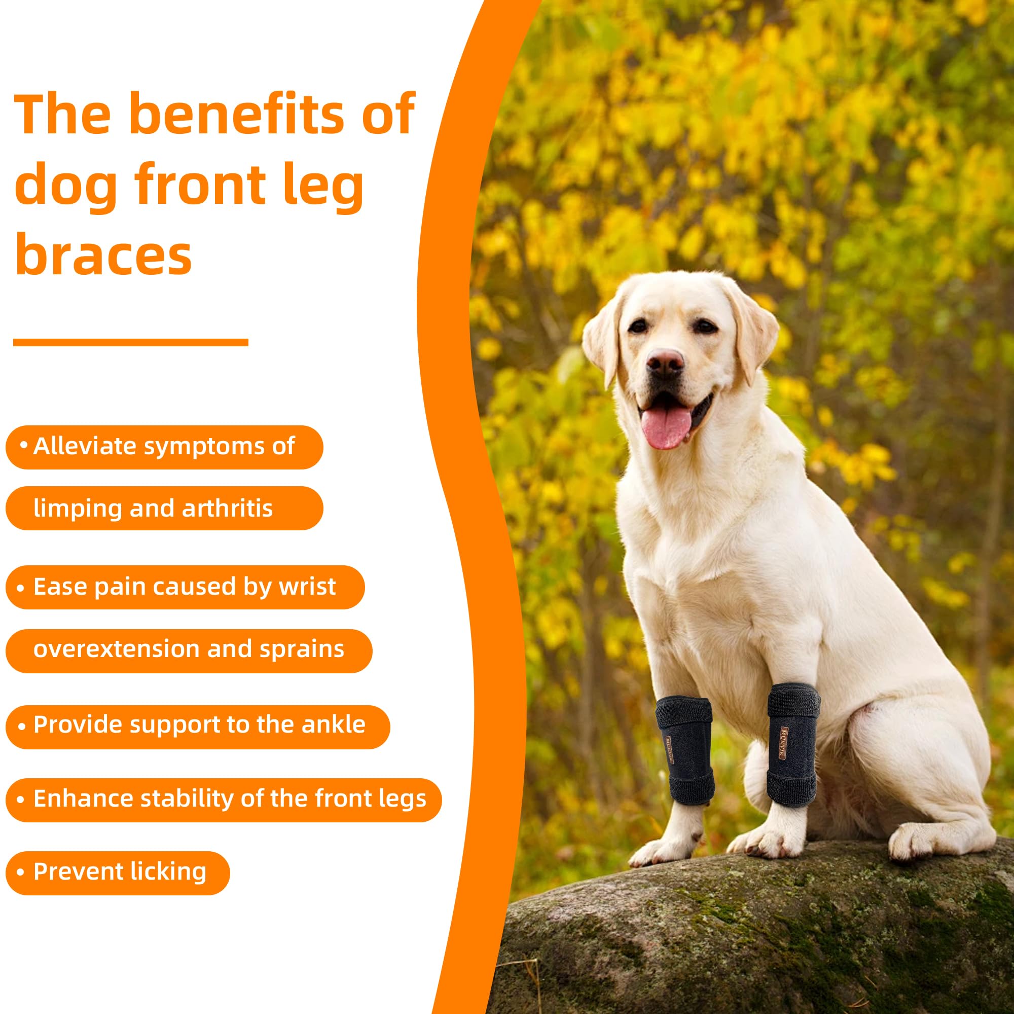 MUKVIK Dog Front Leg Brace, 1 Pair Dog Canine Front Leg Compression Brace Wrap with Metal Strips, Protects Wounds, Brace Heals, Prevents Injuries and Sprains, Helps Arthritis (S/M)