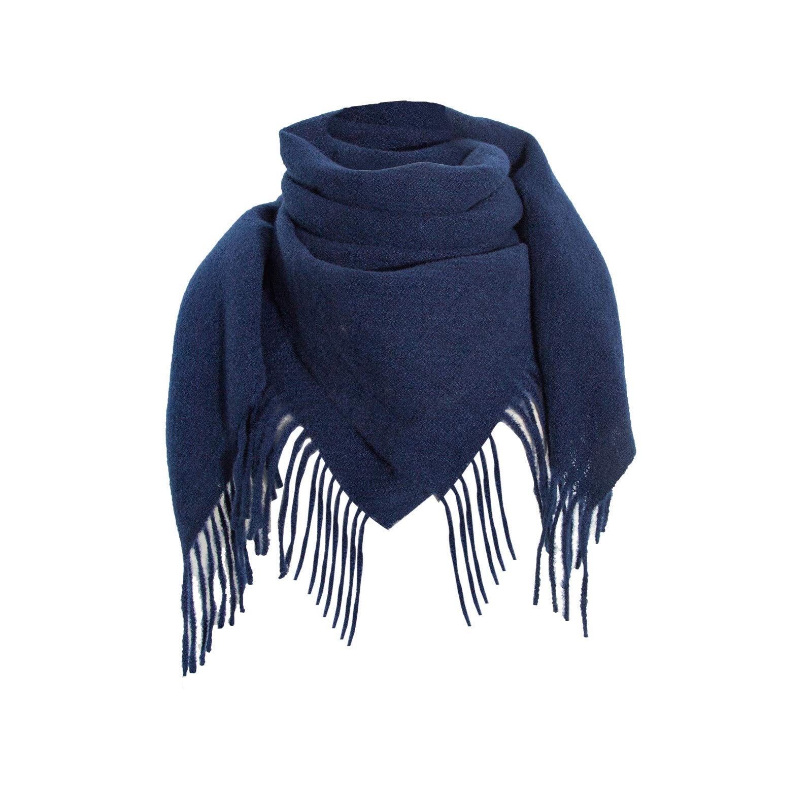Fashion Solid Color Tassel Scarf for Women Winter Warm Soft Pashmina Shawl Long Wrap Scarves (B, One Size)