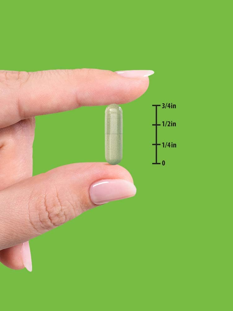 Echinacea Extract Capsules | 1300mg | 100 Count | Non-GMO & Gluten Free | by Nature's Truth
