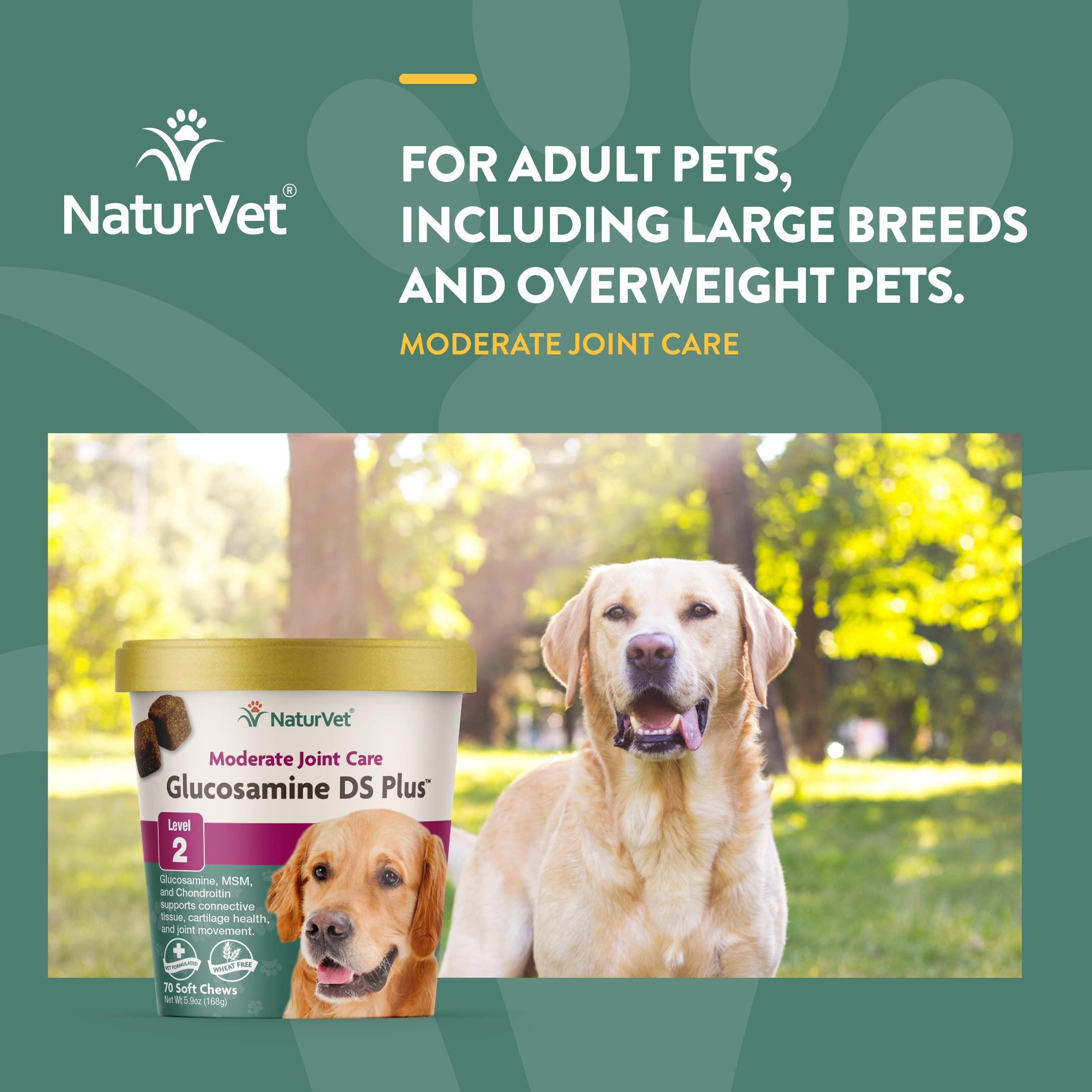 NaturVet – Glucosamine DS Plus - Level 2 Moderate Care – Supports Healthy Hip & Joint Function – 70 Soft Chews & Advanced Probiotics and Enzymes Supplement, Plus Vet Strength Probiotic 70 Soft Chews