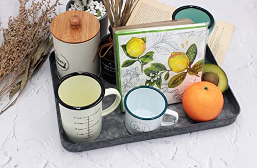 Funerom 13.8 x 9.8 inchs Rectangle Galvanized Serving Tray with 3D Letters,Gray
