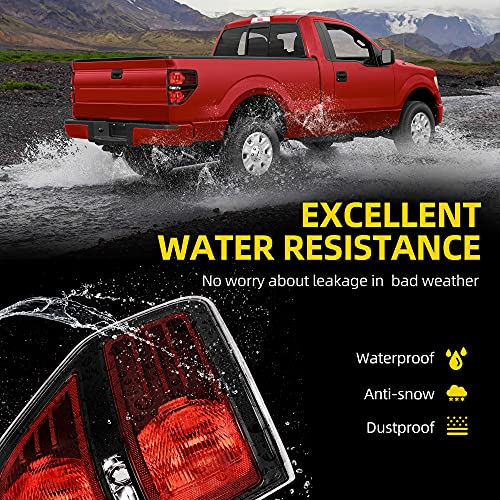 DWVO Tail Light Assembly Compatible with 2009 2010 2011 2012 2013 2014 Ford F150 & F-150 Styleside Pickup Truck Taillights Replacement Tail Lamps