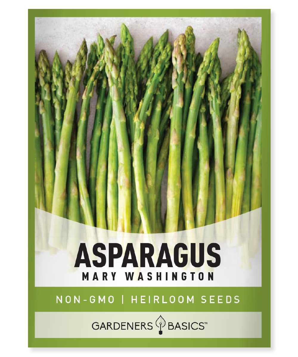 Gardeners Basics, Asparagus Seeds for Planting - Mary Washington Non-GMO Perennial Vegetable Variety- 2 Grams Seeds Great for Spring and Early Summer Gardens