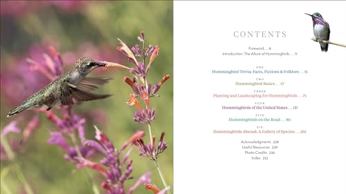 The Hummingbird Handbook: Everything You Need to Know about These Fascinating Birds