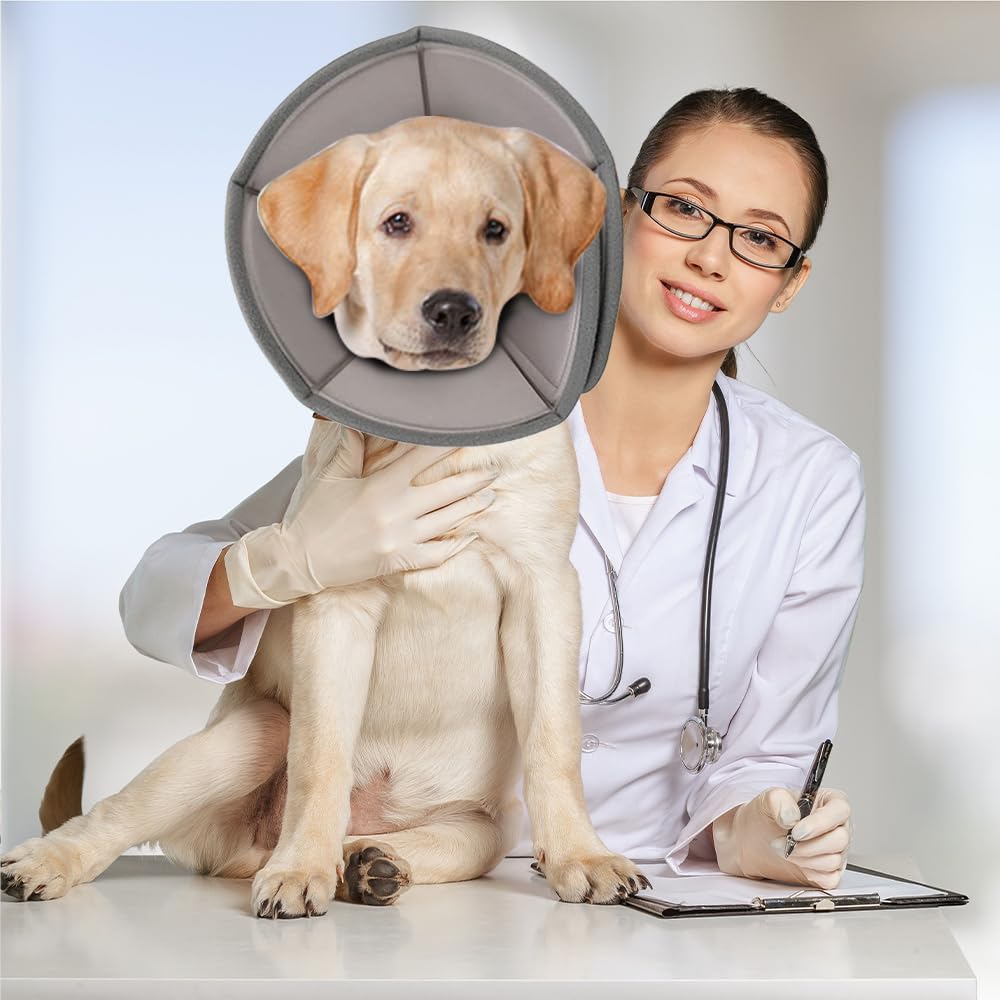 Noble Hydric Pet Cone for Small Dogs and Cats,Cat Cone Collar Soft to Stop Licking Extra Soft Dog Cone Alternative After Surgery for Large Medium Small Dogs-Adjustable 13.4"-15.7" Recovery Cone(L)