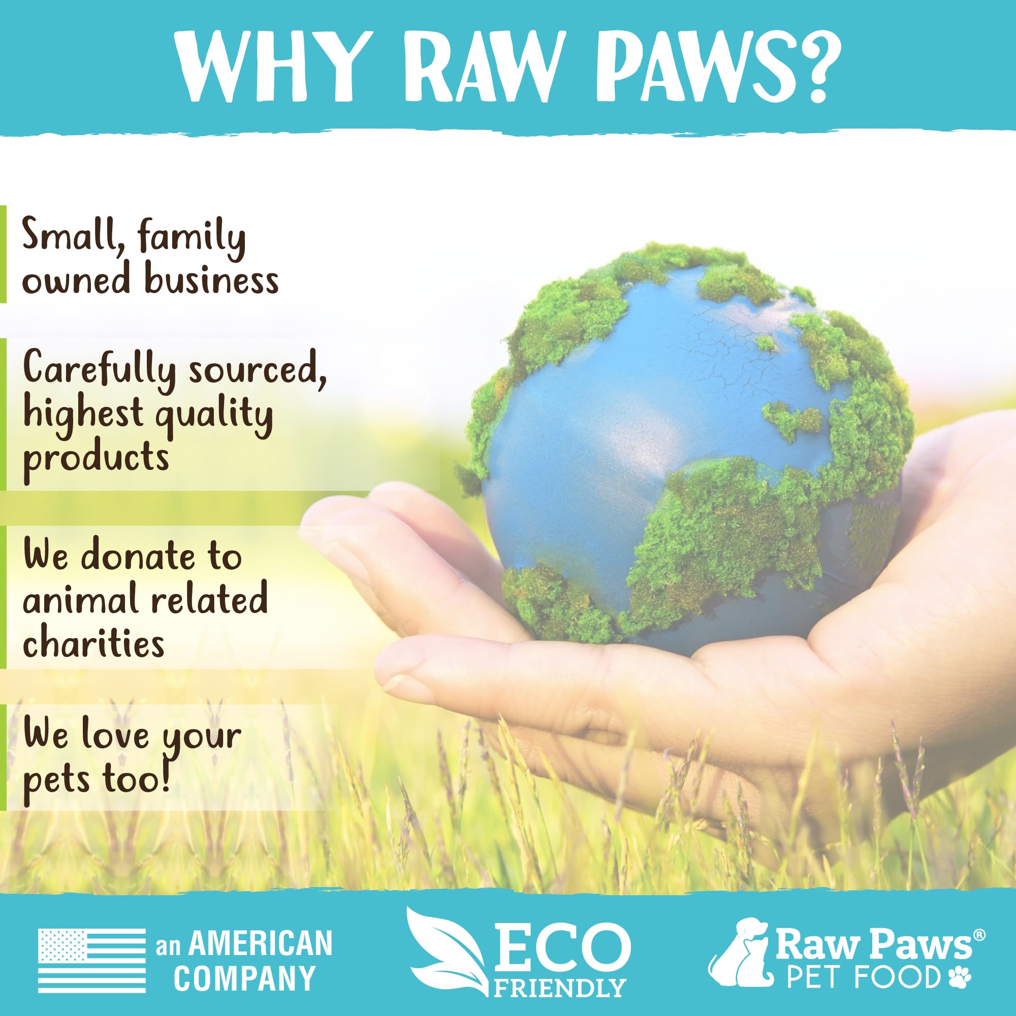 Raw Paws Jumbo Bully Sticks, 6" (5 Pack) - Extra Thick Bully Sticks for Dogs - No Added Hormones, Free Range Cows - Pizzle Sticks for Dogs - Long Lasting Bully Bones for Aggressive Chewers