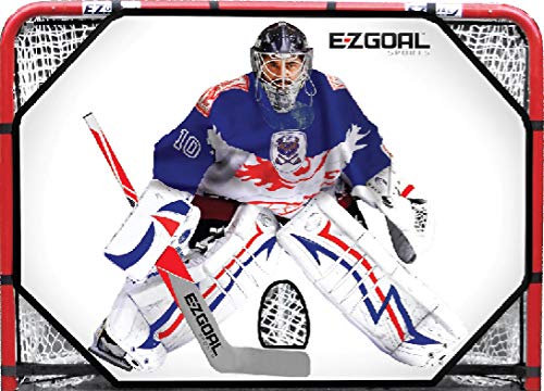 EZGoal 4' x 6' Hockey Folding Steel 2" Goal with 10' x 6' Backstop, 4 Targets Nets, a New Shooter Tutor, Red
