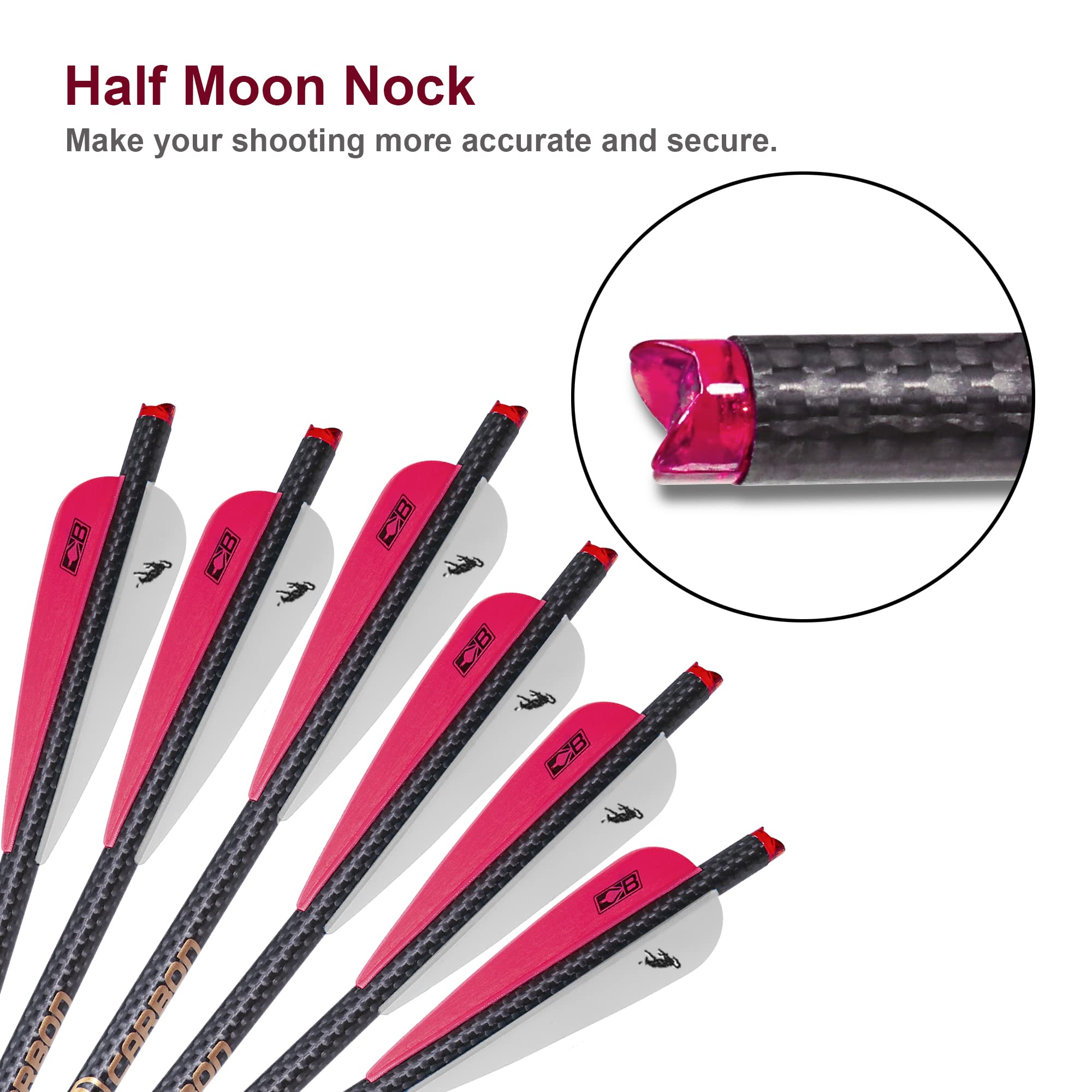 DRAGON CARBON Crossbow Bolt 20-Inch with 3K Woven Outer Layer, ID 0.3-Inch GPI 10 gr/in, Include 4-Inch Bohning Vanes and Halfmoon Nocks, 6-Pack