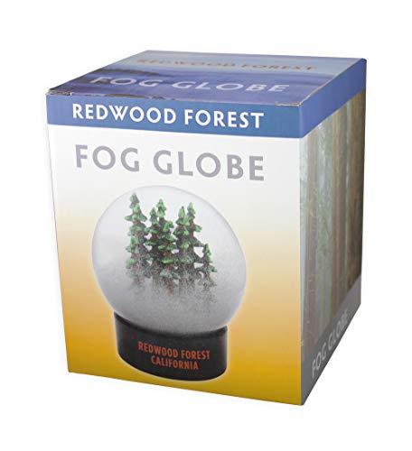 Redwoods California Fog Snow Globe Hand Painted